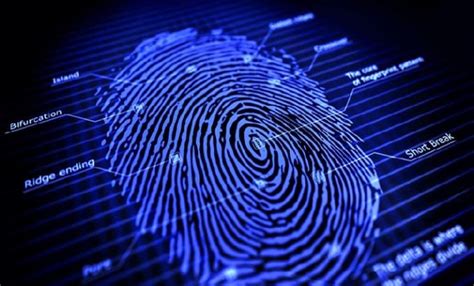 Be A Private Investigator Osint Background Check Detective