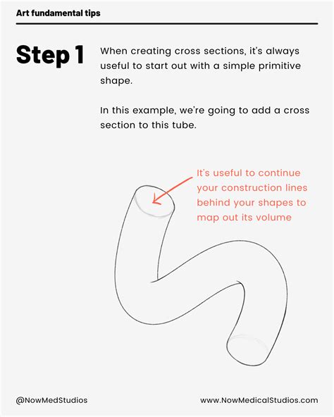 Medical Illustration Tutorial How To Draw Cross Sections In Tubes