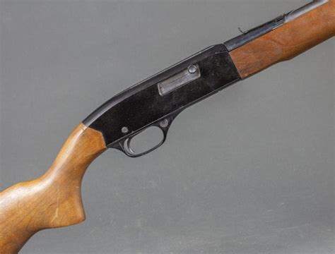 Test Rimfire Central Firearm Forum