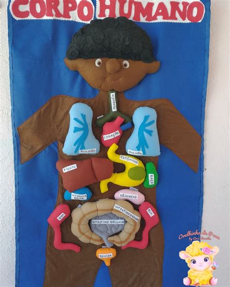 Cartaz Do Corpo Humano Mais Um Cartaz Ovelhinha De Pano
