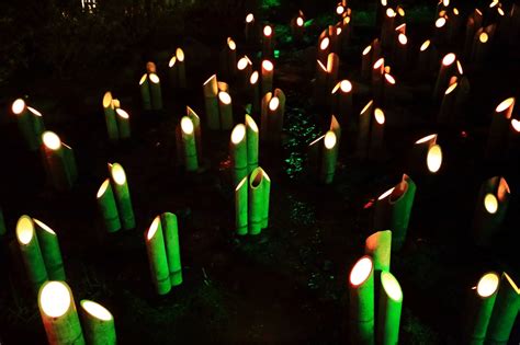 Kyoto Moyou