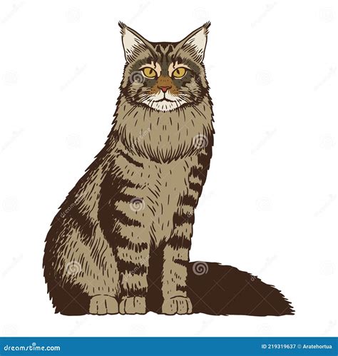 Imagem De Gato Realista Isolada Ilustração do Vetor Ilustração de