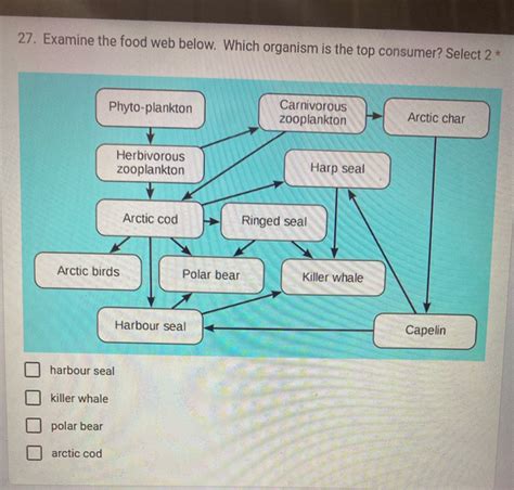 Solved 27 Examine The Food Web Below Which Organism Is The Top