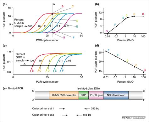 Figure 1 From Detection Of Genetically Modified Organisms In Foods Semantic Scholar