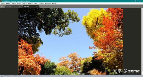 C存储24和32位bmp图像数据 知乎