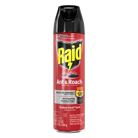 Raid Wasp And Hornet Killer 17 5 Ounces