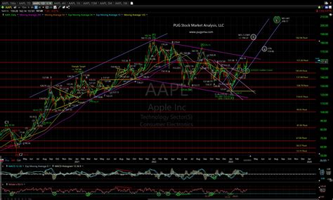 Aapl Technical Analysis Pug Stock Market Analysis Llc Technical