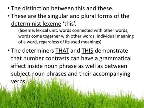 English Morphology Inflection Pptx Geology Science
