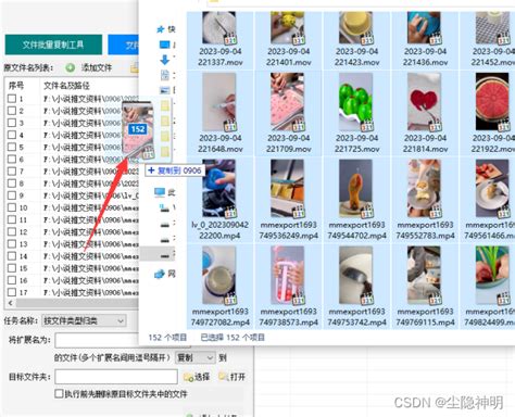 告别文件混乱自动归类让您的视频文件管理更高效 CSDN博客
