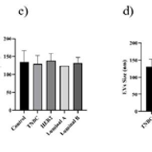 Graphics Representing Size Of SEVs A Comparison Between The Size Of Download Scientific