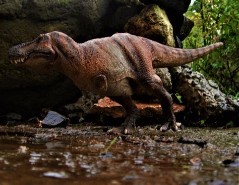 Tyrannosaurus rex (Pnso) by zoome3 on DeviantArt
