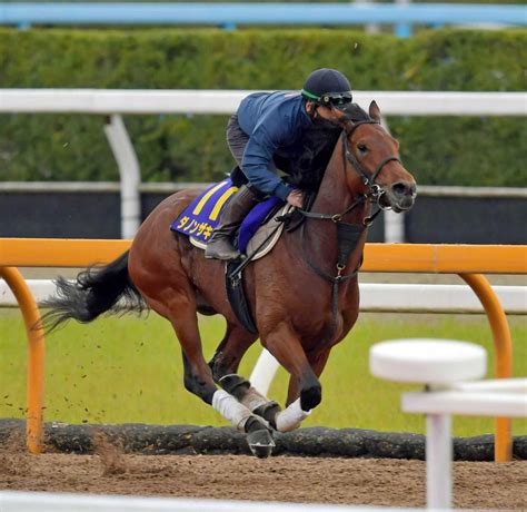 【皐月賞】ダノンザキッド不安一掃！ド迫力フォームで理想的ラップ 安田隆師は太鼓判競馬・レースデイリースポーツ Online