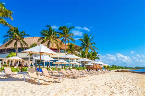 Playa Del Carmen To Have Low Sargassum Levels This Summer According To