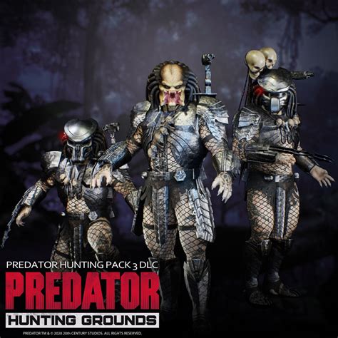 Predator Vs Depredador Lobo