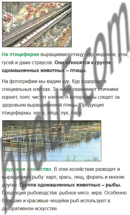 Страница 56 - ГДЗ Окружающий мир 3 класс. Плешаков. Учебник часть 2 ...
