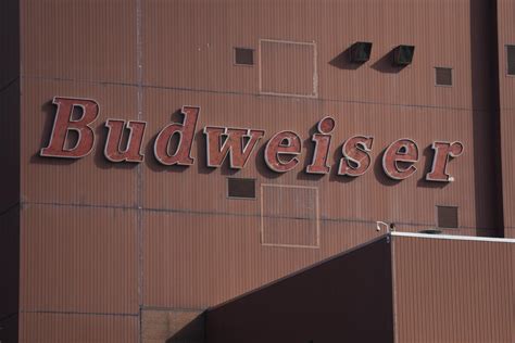 Anheuser Busch Teamsters Reach Labor Agreement That Avoids Us Strike