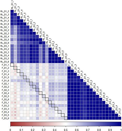 Correlation Heatmap Representing Correlations Correlation Heatmap Download Scientific Diagram
