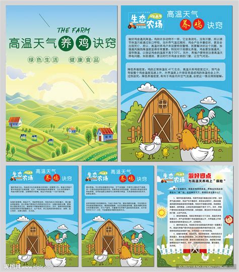 高温天气养鸡诀窍海报设计图海报设计广告设计设计图库昵图网