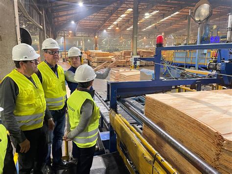 Conselho da Arauco aprova investimentos de R 25 1 bilhões para a fábrica de celulose em
