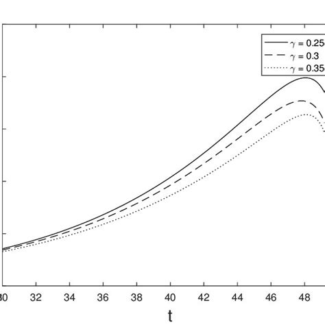 The Effect Of The Risk Aversion Parameter γ On The Optimal