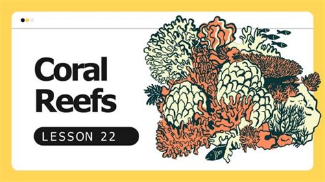 Coral Reefs Science Lesson For Grade Six Ppt