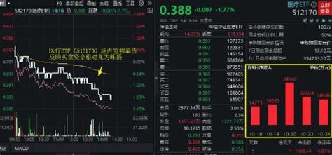医美龙头大跌逾11，医疗午后加速下挫！医疗etf（512170）再创阶段新低，场内溢价飙升！新浪财经新浪网
