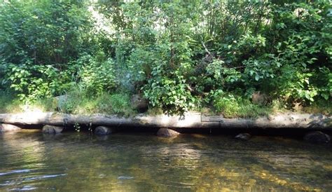 Docking Structures And Shoreline Stabilization Nh Department Of