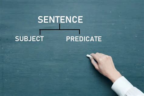 Subject And Predicate Definition Rules Examples And Worksheets With PDF Practice Worksheet