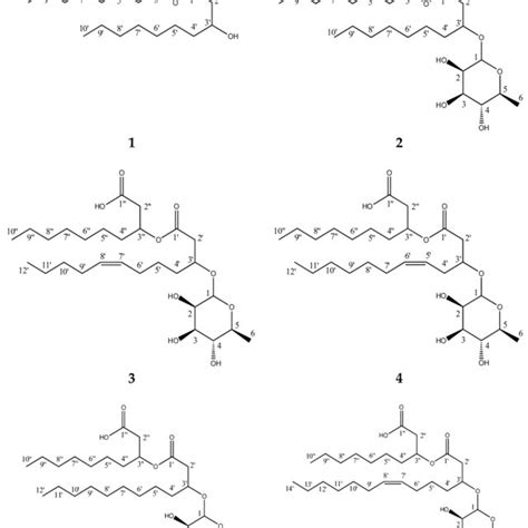 Structures Of Compounds 1 6 Isolated From Pseudomonas Sp Download