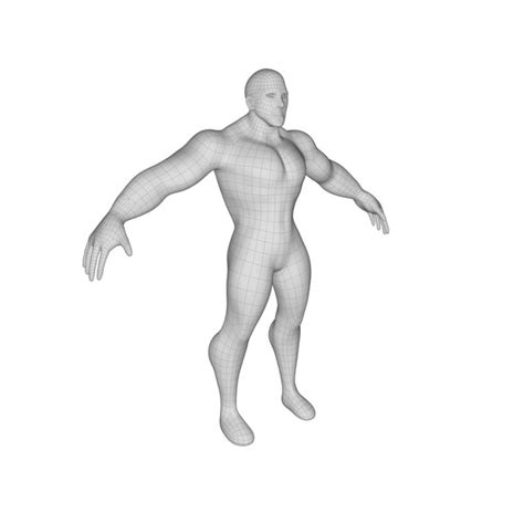 Base Mesh Model TurboSquid