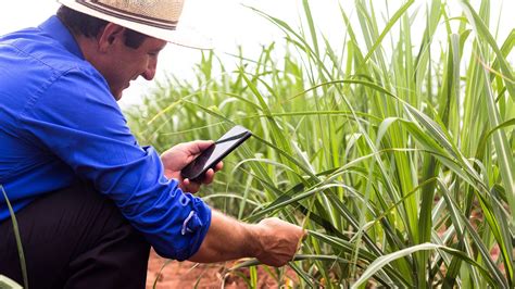 UNCTAD Awards Brazil Egypt And Lesotho Agencies For Promoting