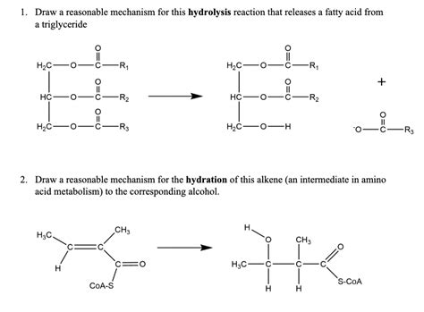 Solved 1 Draw A Reasonable Mechanism For This Hydrolysis Chegg