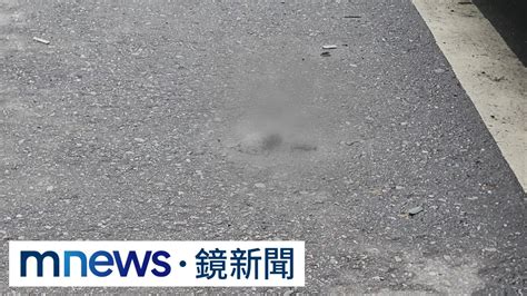 「草屯囝仔」陳樞育助查證 控鄰居持槍射浪浪｜鏡新聞 Youtube