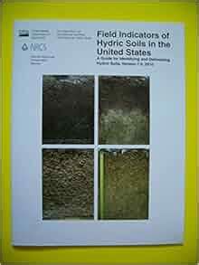 Field Indicators Of Hydric Soils In The United States A Guide For