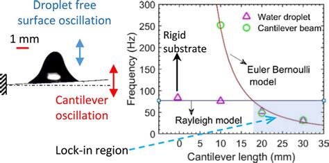 Coupled Dynamics Of Droplet Impact On A Flexible Hydrophilic Cantilever Beam