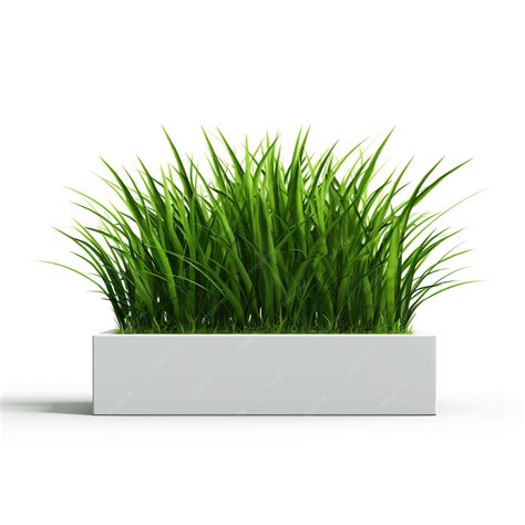 Natural Fresh Green Grass Cut Out Backgrounds 3d Rendering Premium Ai