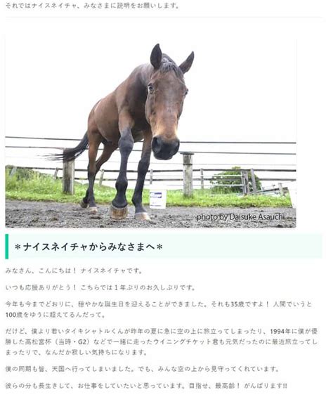 【競馬】ナイスネイチャ35歳のバースデードネーション開始！ ウマ娘まとめちゃんねる
