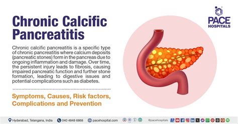 Chronic Pancreatitis Slide Show Understanding Chronic Pancreatitis