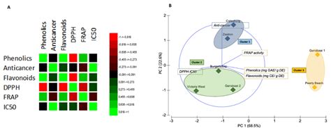 The Implication Of Chemotypic Variation On The Anti Oxidant And Anti