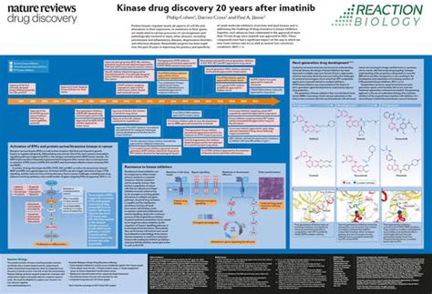 Drug Discovery Cro Services Reaction Biology