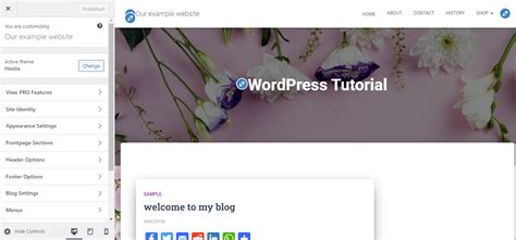 How To Use WordPress Theme Customizer LTHEME