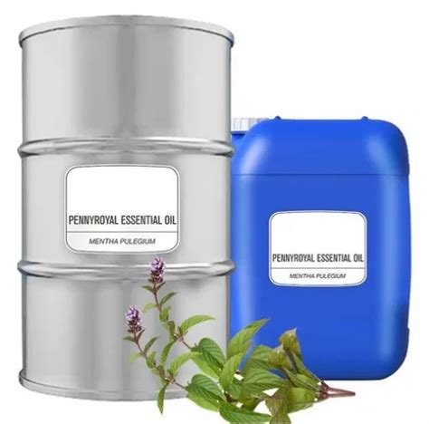 Pennyroyal Essential Oil Packaging Size 100 Kg At ₹ 1485 Kg In Vadodara