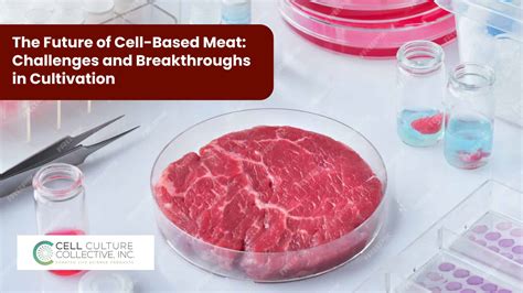 3d Vs 2d Cell Culture A Comprehensive Comparison And Review Cell