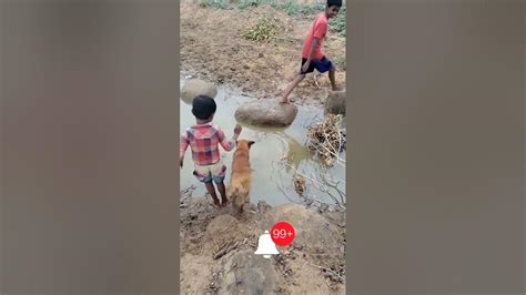 රිකෝගෙ සෙල්ලම් ඉවර වෙනකන් බලන්න Youtube
