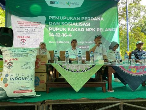 Pupuk Indonesia Jamin Petani Kakao Bisa Tebus Pupuk Subsidi NPK Di Kios