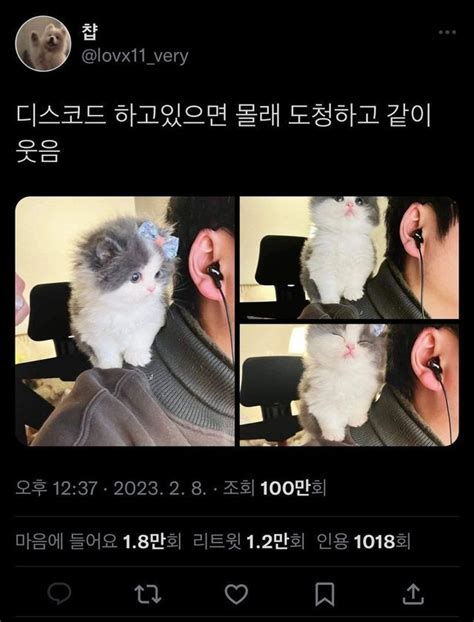 트레이싱 이메레스에 있는 핀