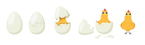 무료로 다운로드 가능한 달걀 껍질 벡터 And 일러스트 Freepik
