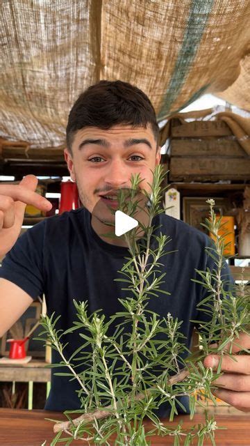 Goran Le Permaculteur On Instagram Aujourdhui Je Texplique Comment