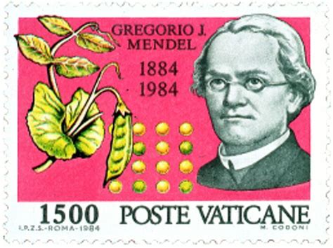 15 Best Gregor Mendel Images On Pinterest Genetics The Father And Ap