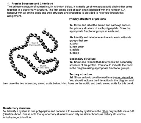 GET ANSWER Protein Structure And Chemistry The Primary Structure Of